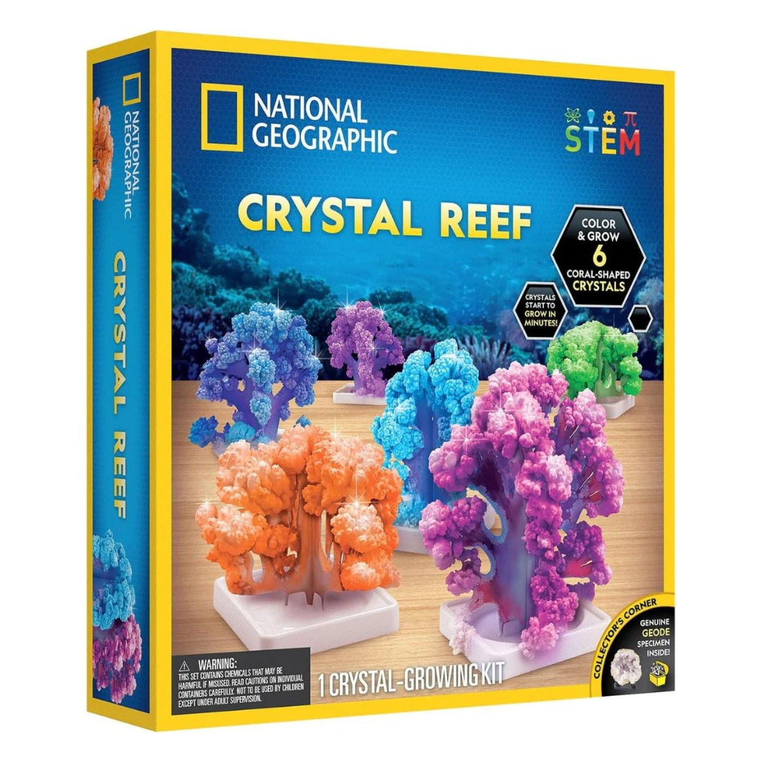 Nat Geo Crystal Reef Coral Growing Lab – Playbh